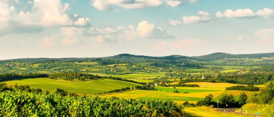 Bright Biomethane to build first biogas upgrading plant in Hungary
