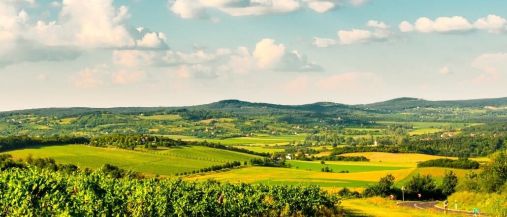 Bright Biomethane to build first biogas upgrading plant in Hungary
